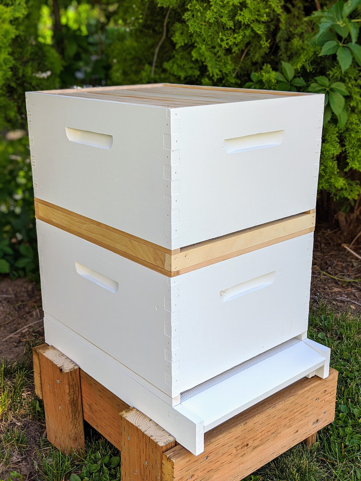 Homer's Honeybee | Local Honey, Beekeeping Supplies & Skincare Utah ...
